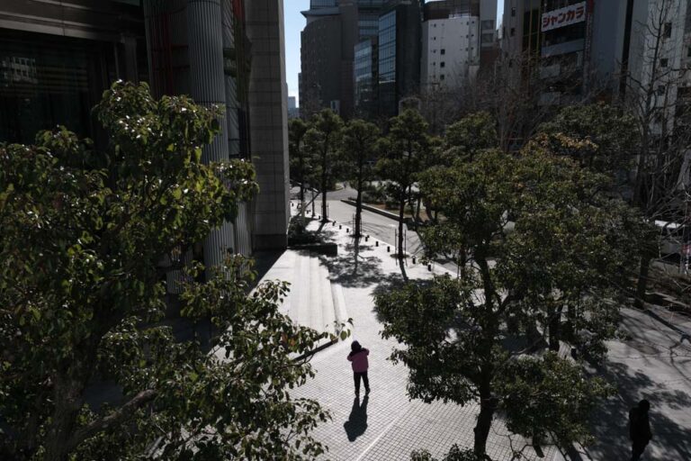 PRO Neg.Stdの色味の特徴を徹底解説【撮って出しの作例写真あり】 | 旅と暮らしのダイアログ