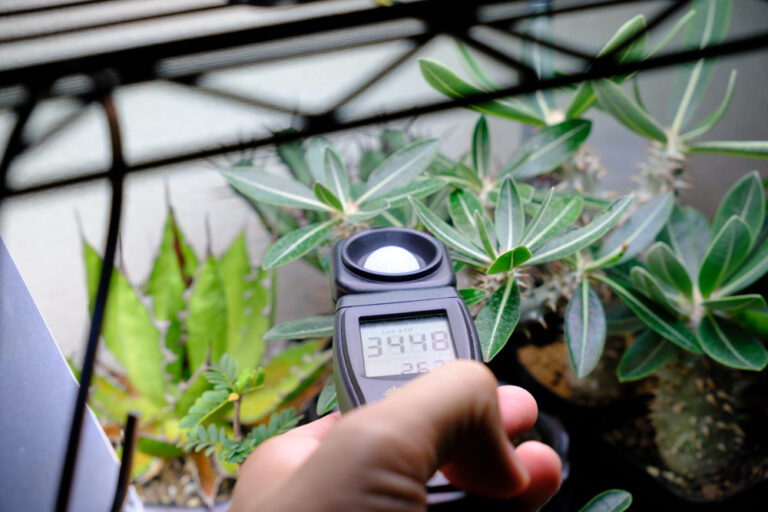 【コスパ最強】BRIMの植物育成用パネルライト『PANEL A』を徹底レビュー | 旅と暮らしのダイアログ